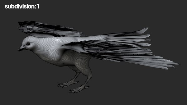 Rigging dove fur anatomy 3D - TurboSquid 1522069