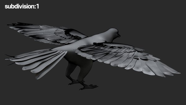 Rigging dove fur anatomy 3D - TurboSquid 1522069