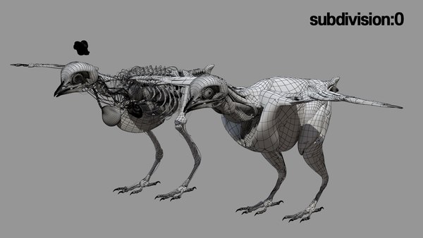 Rigging dove fur anatomy 3D - TurboSquid 1522069