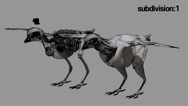 Rigging dove fur anatomy 3D - TurboSquid 1522069