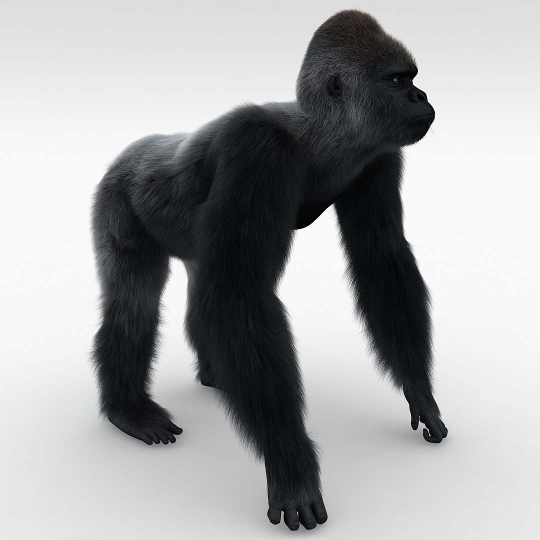 gorilla pose