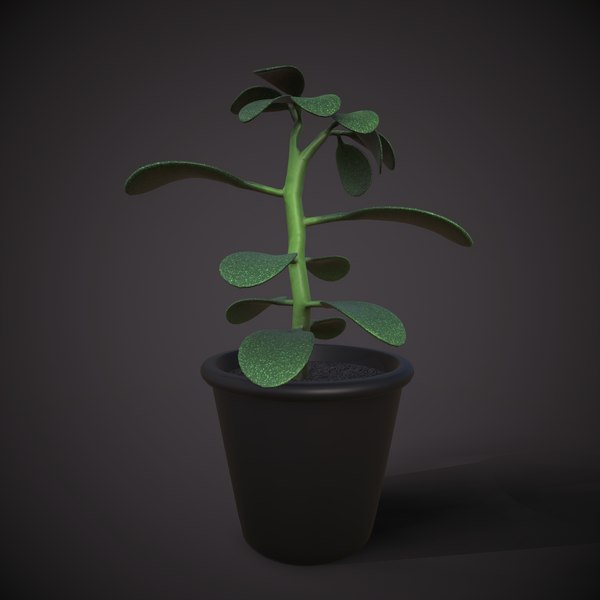 3D small houseplant - TurboSquid 1567158