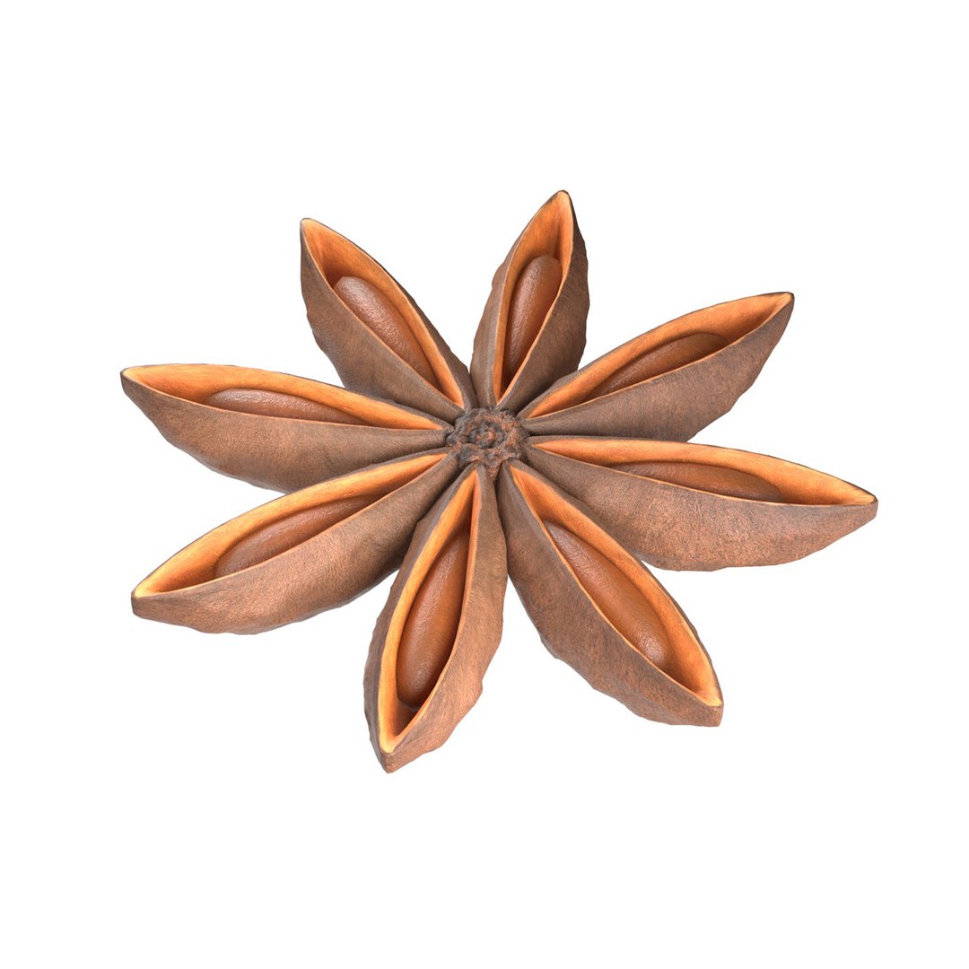 3D Star Anise - TurboSquid 2397332