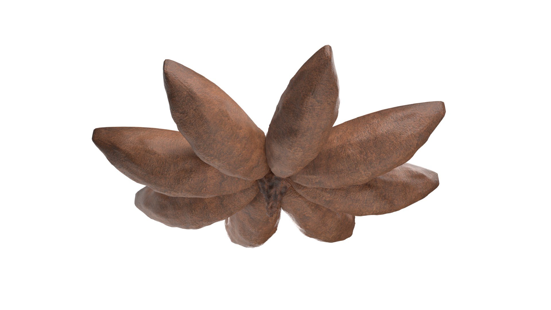 3D Star Anise - TurboSquid 2397332