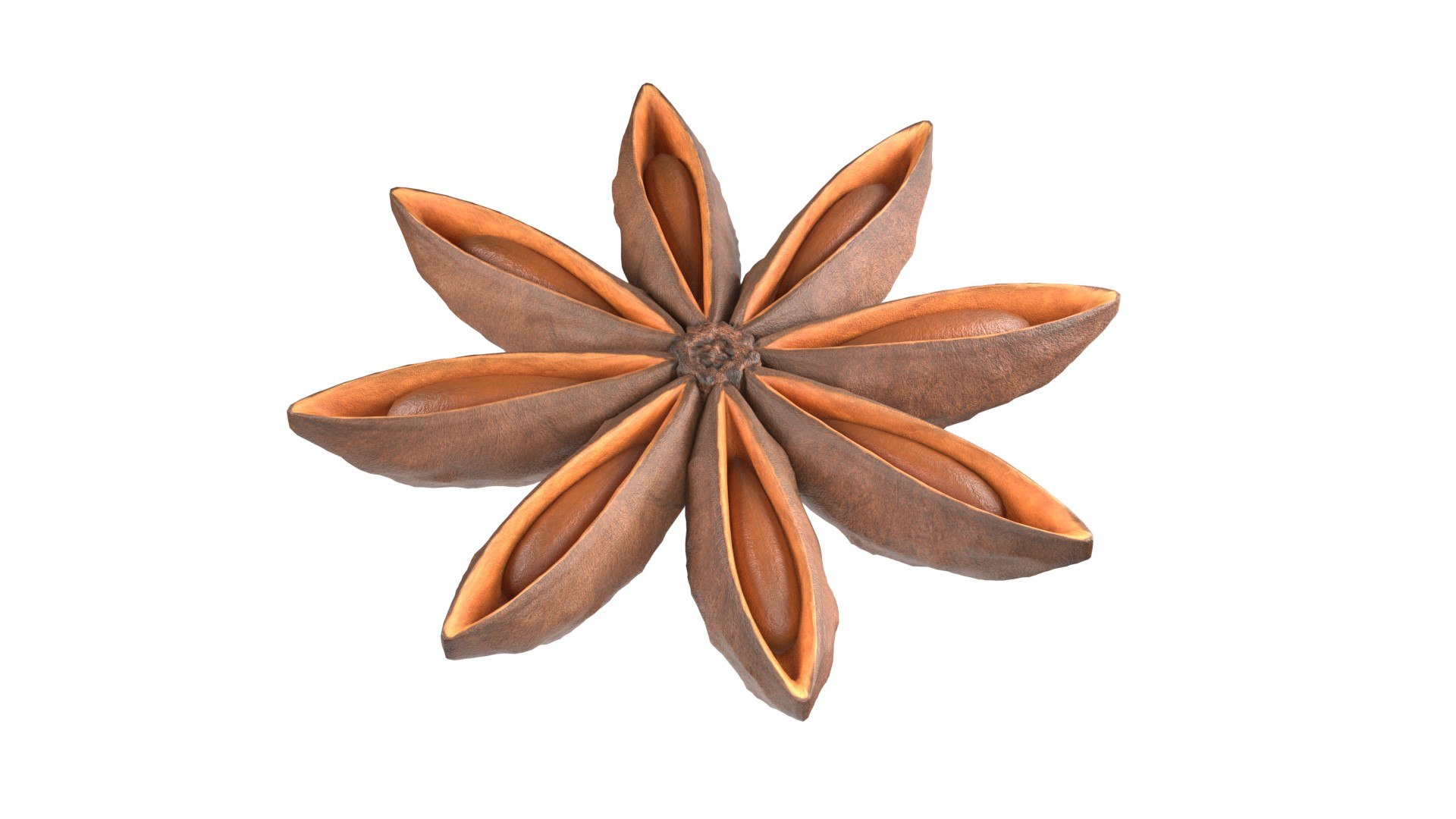 3D Star Anise - TurboSquid 2397332