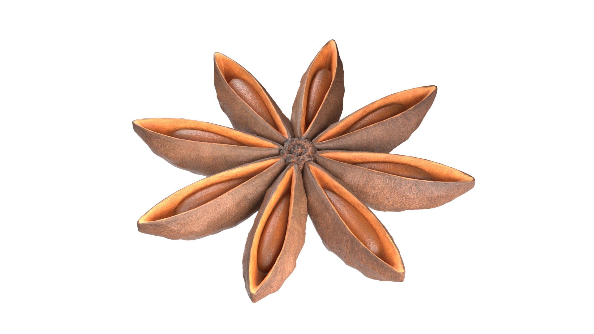 3D Star Anise - TurboSquid 2397332