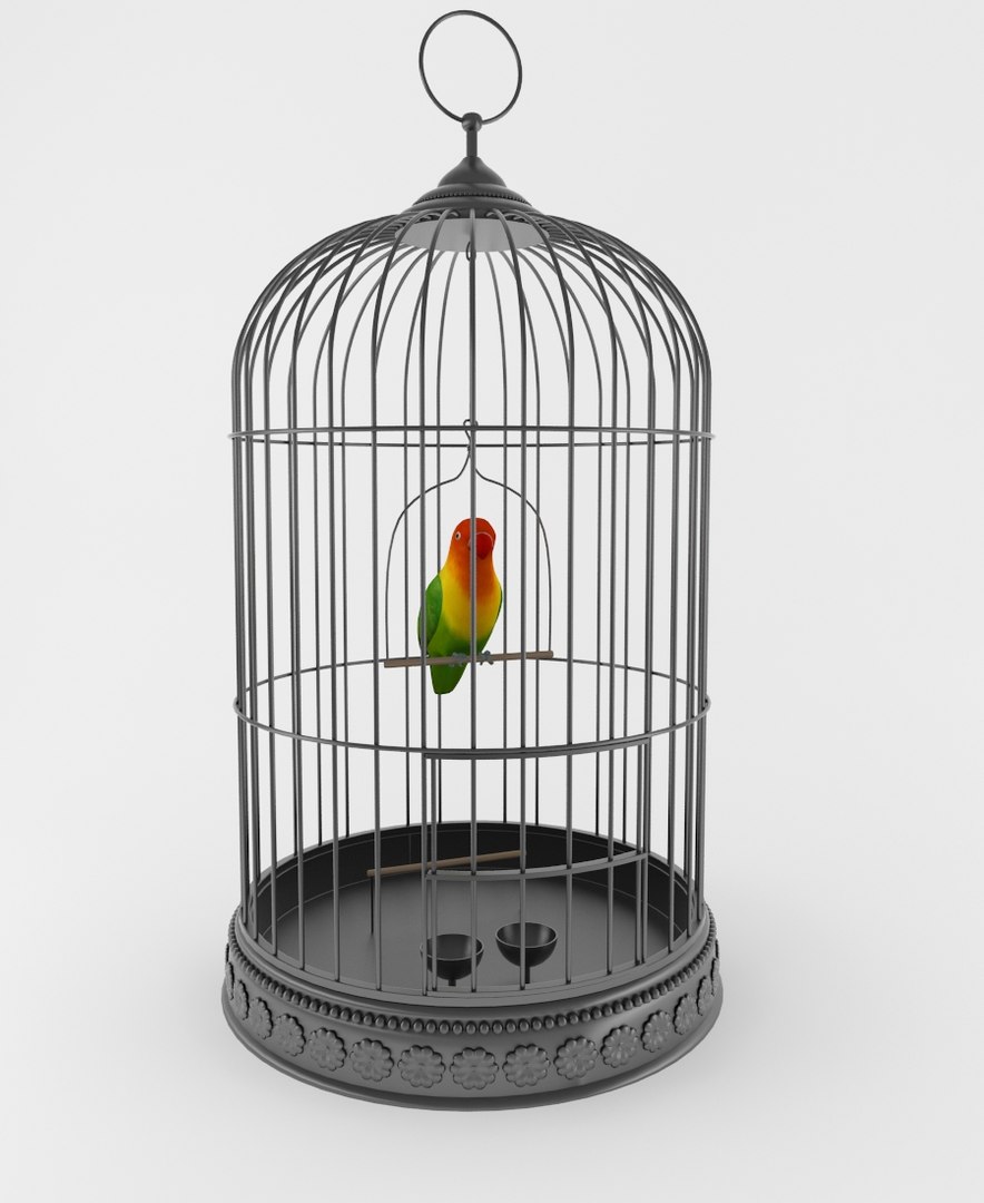 Bird Cage 3d Model