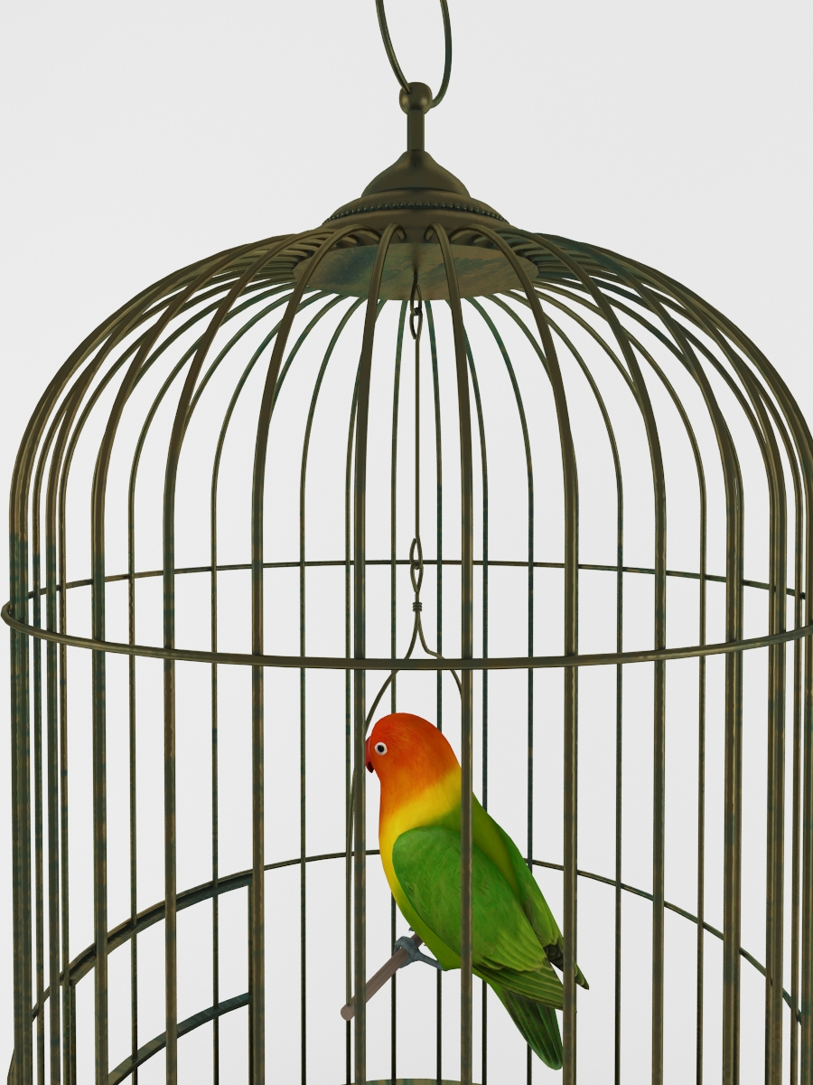 bird cage 3d model