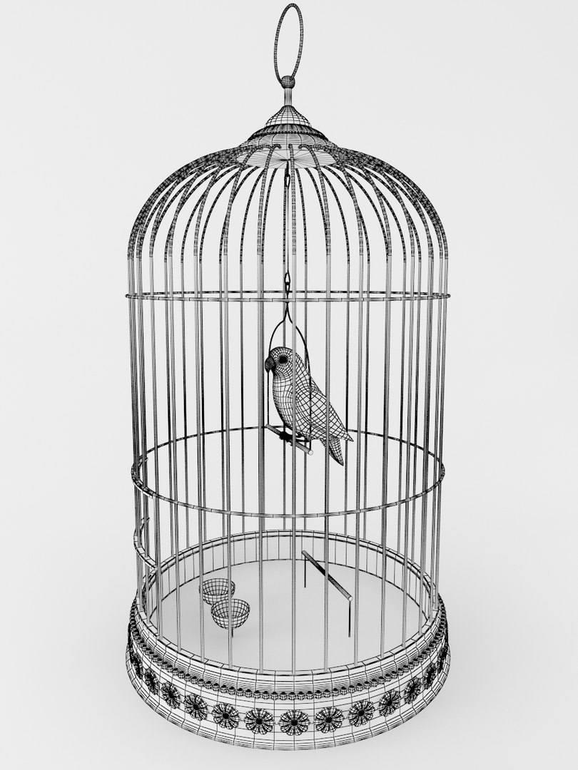 Bird Cage 3d Model