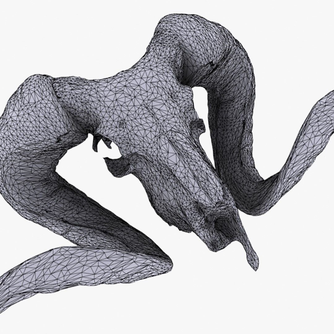 Ram Skull 3d Model