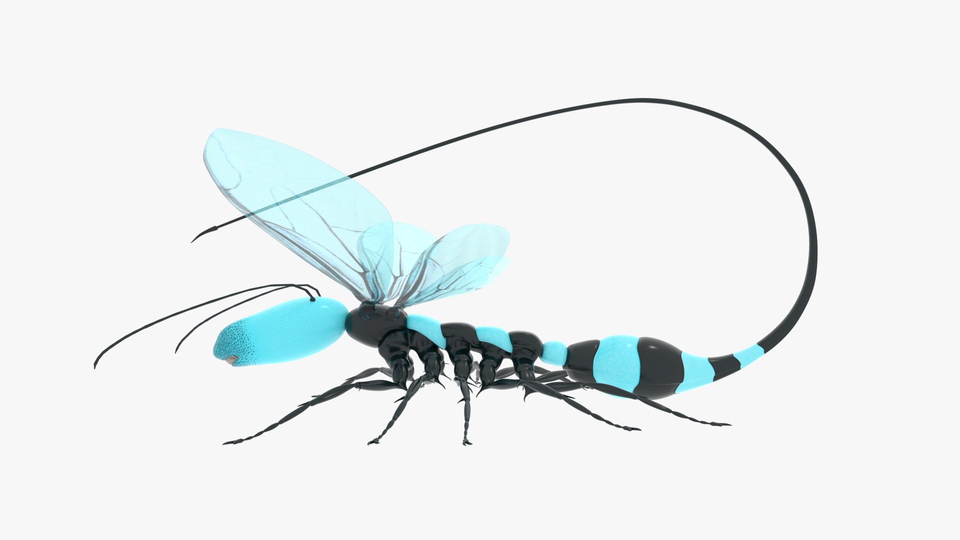 Alien Wasp Blue 3D Model - TurboSquid 2316518