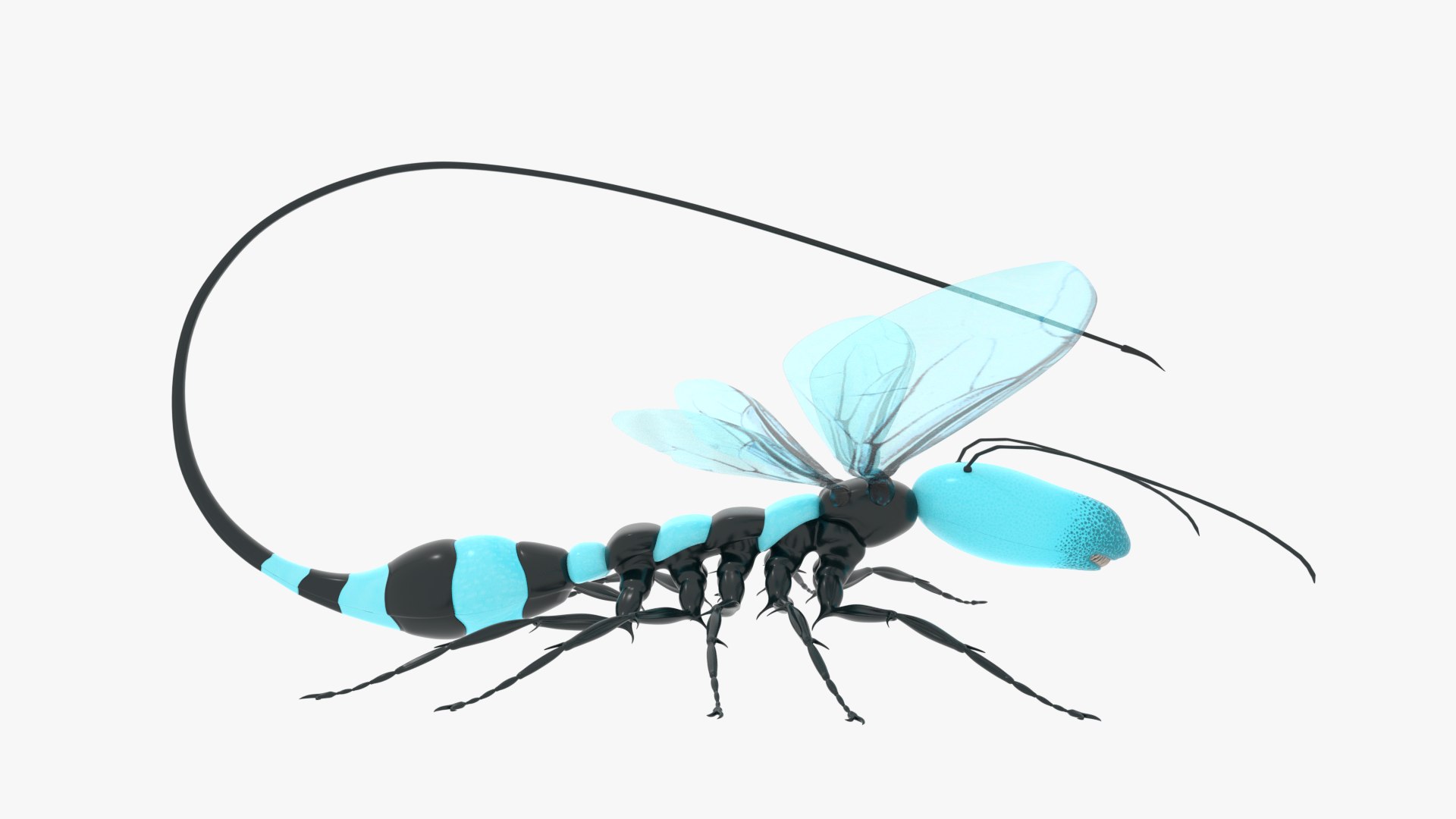 Alien Wasp Blue 3D Model - TurboSquid 2316518