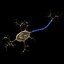 Nerve Cell Neuron 3d Obj