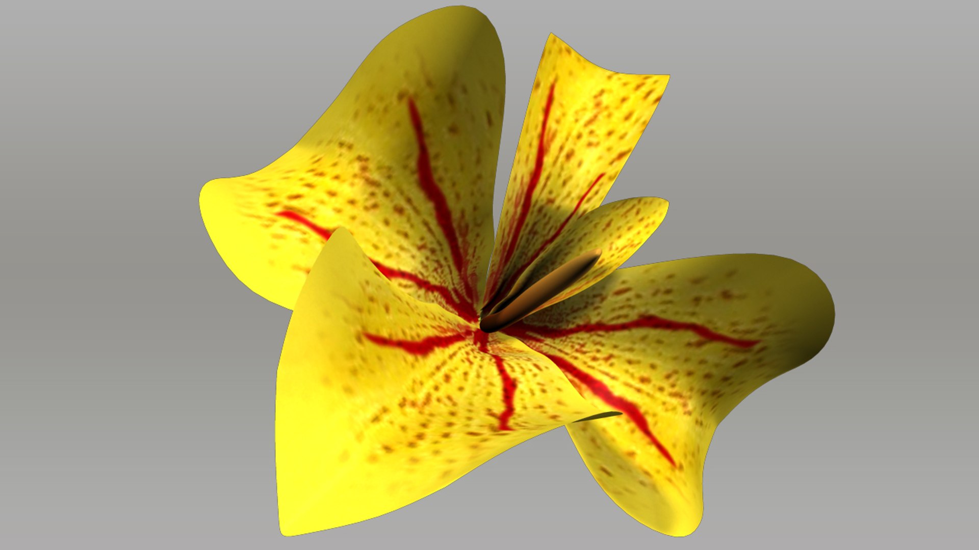 Maya Canna Indica Symmetry Flower