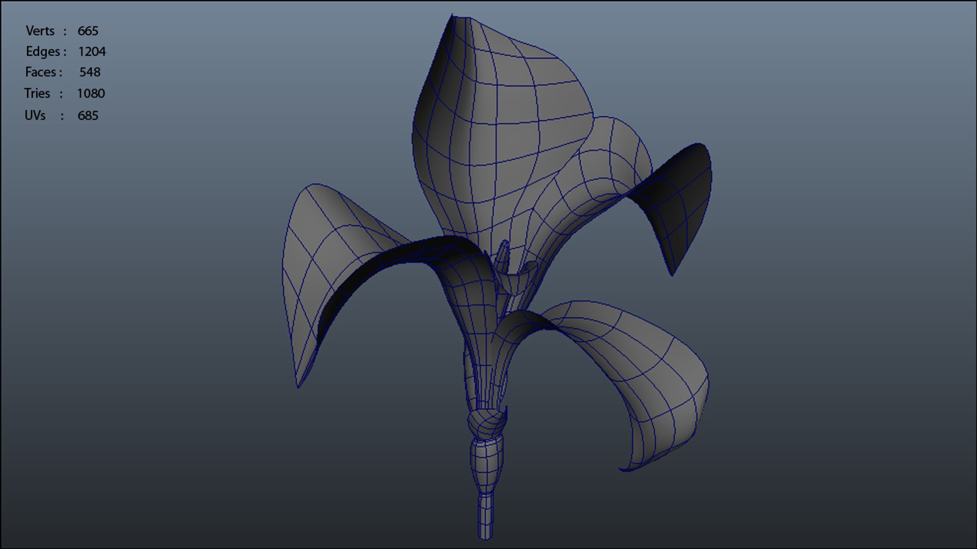 Maya Canna Indica Symmetry Flower