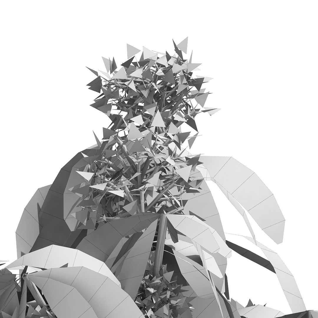 3d Model Alstonia Scholaris