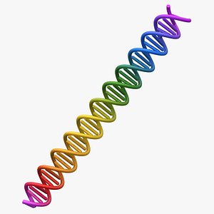 Anatomy Dna Cinema 4D Models for Download | TurboSquid