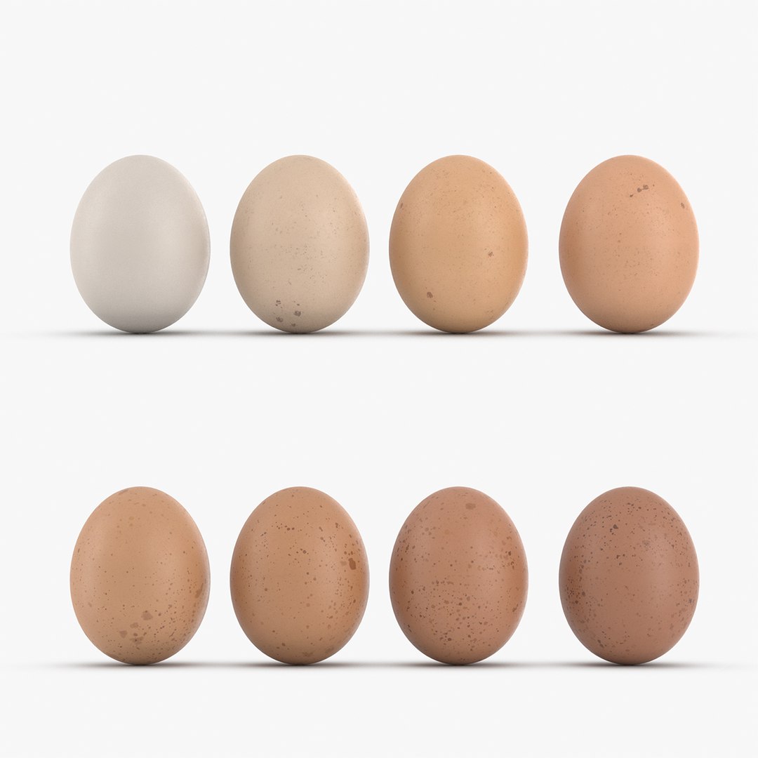 Pack Of Realistic Eggs Model - TurboSquid 1717083
