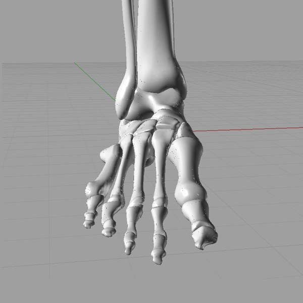 3d model of igs foot bones solidworks
