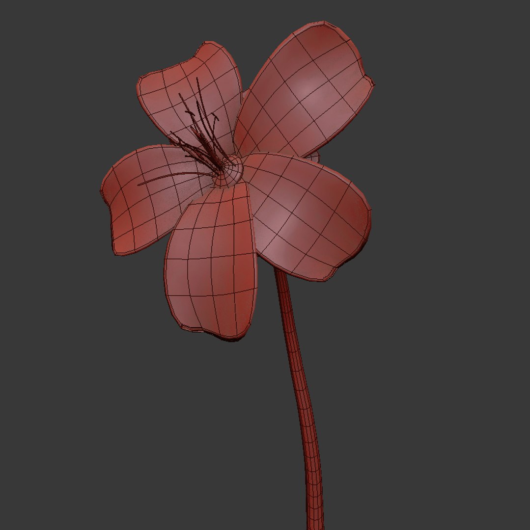 3D Flowers Open Animation Model - TurboSquid 1589263