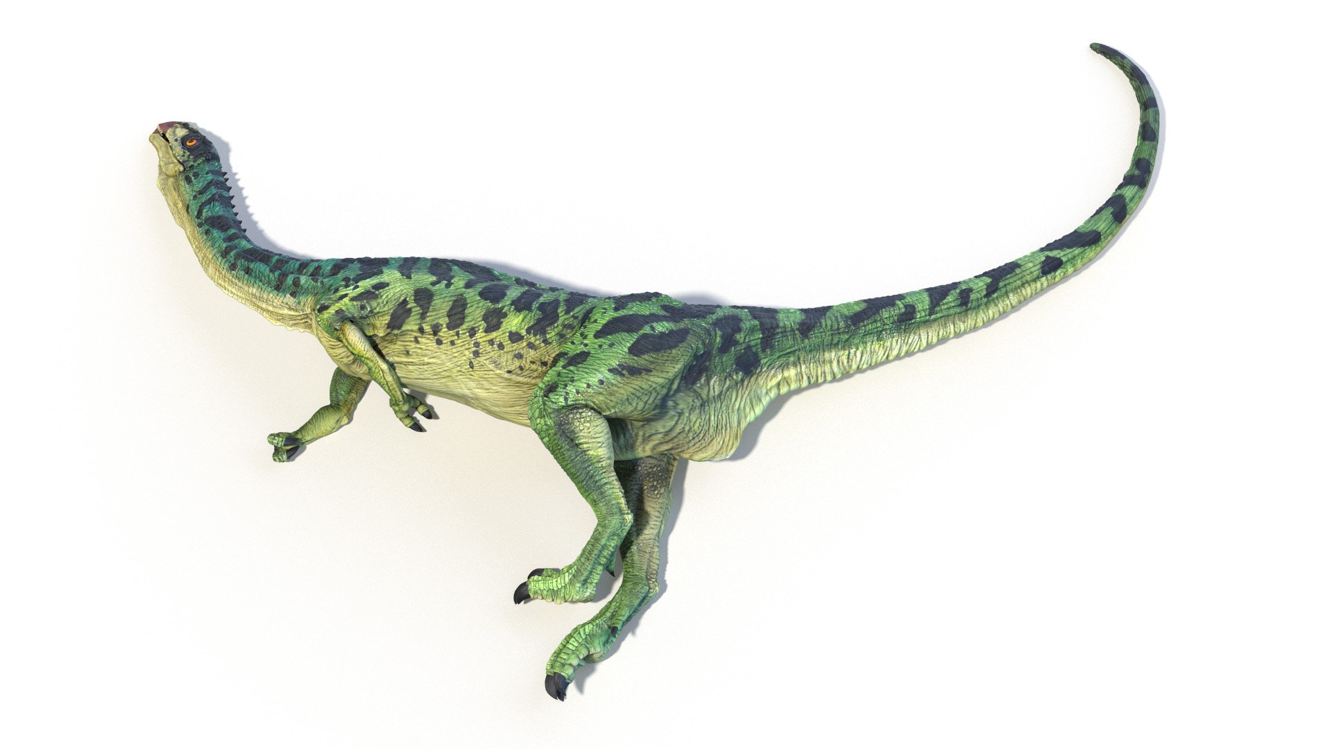 3D Chilesaurus Animated Model - TurboSquid 1956483