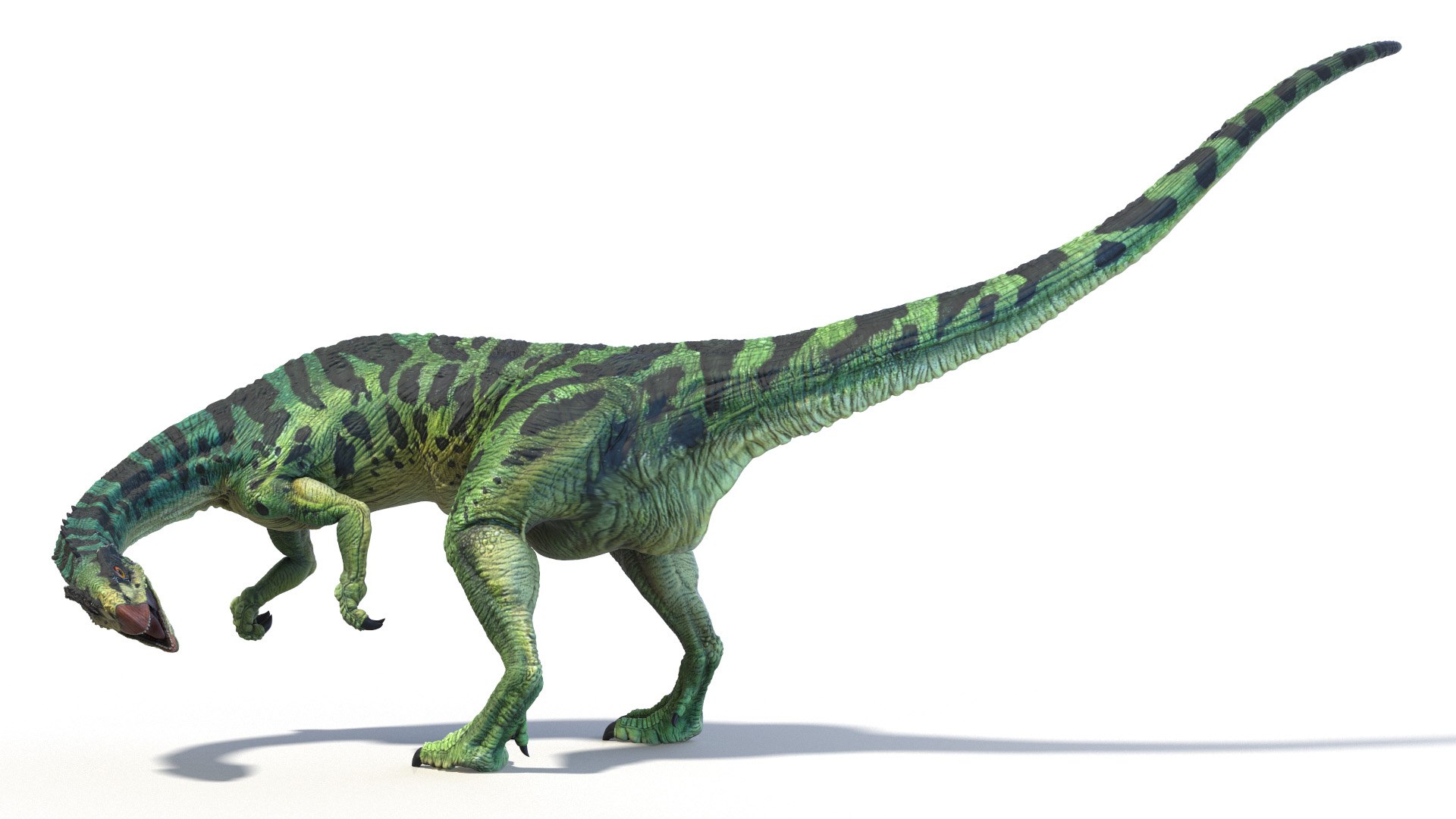 3D Chilesaurus Animated Model - TurboSquid 1956483
