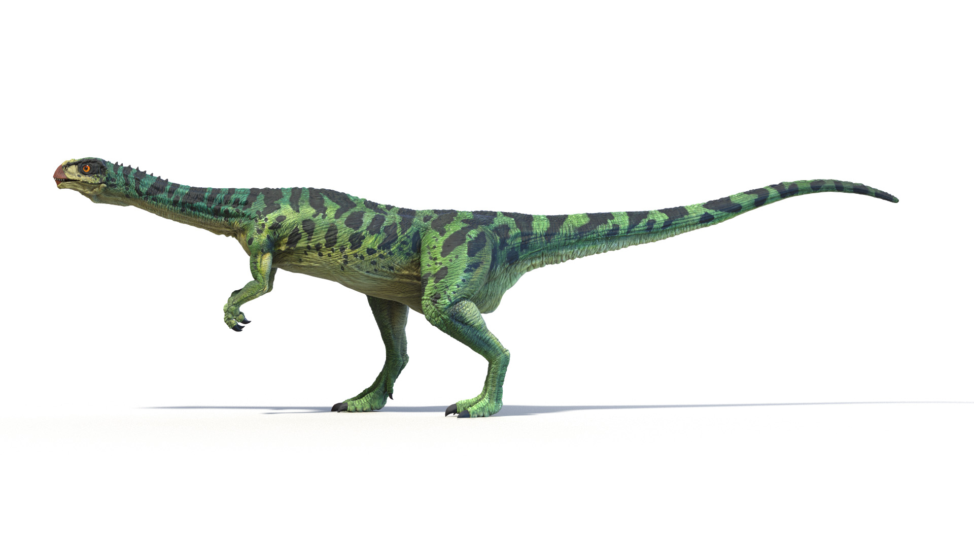 3D Chilesaurus Animated Model - TurboSquid 1956483