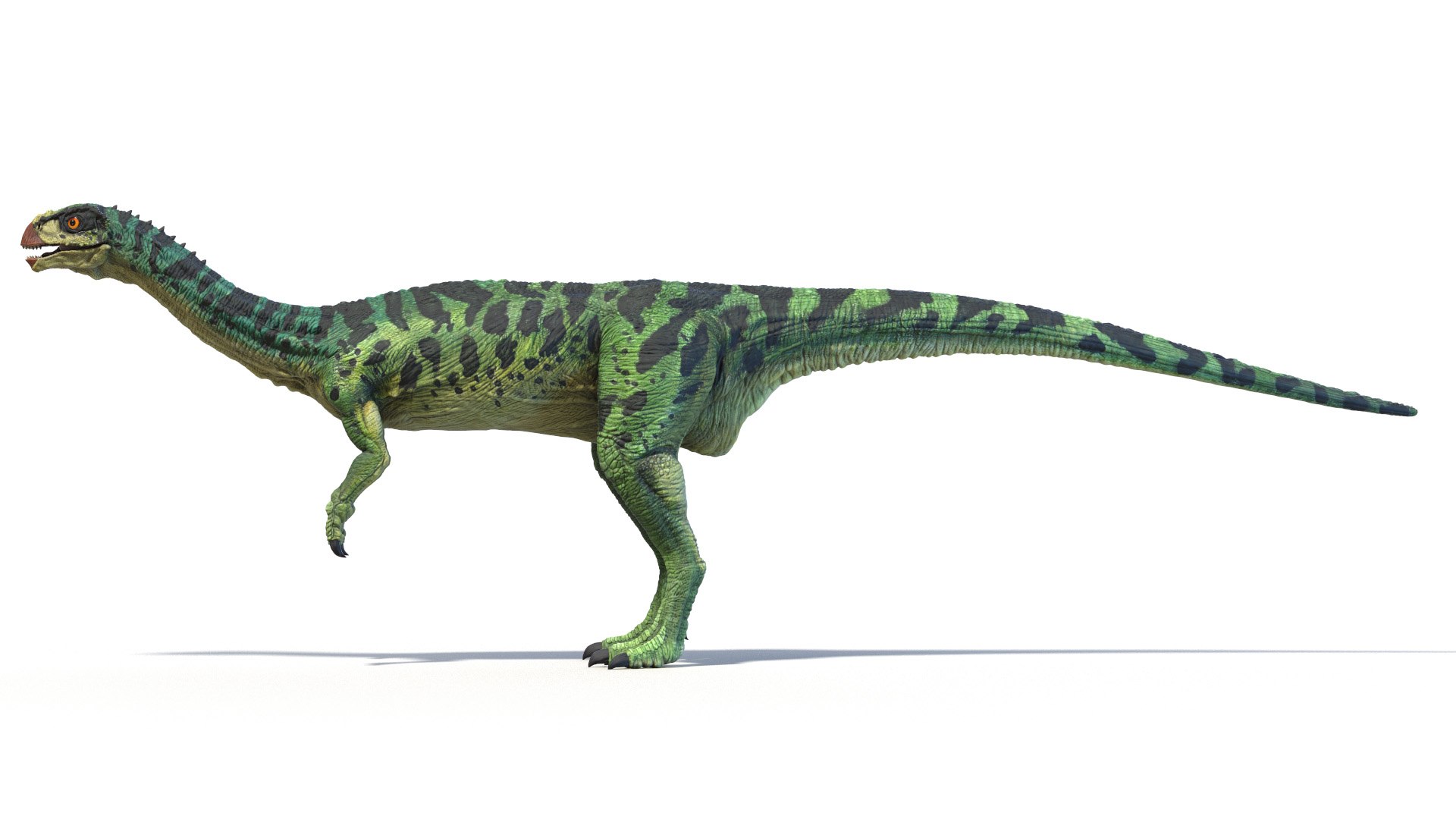 3D Chilesaurus Animated Model - TurboSquid 1956483
