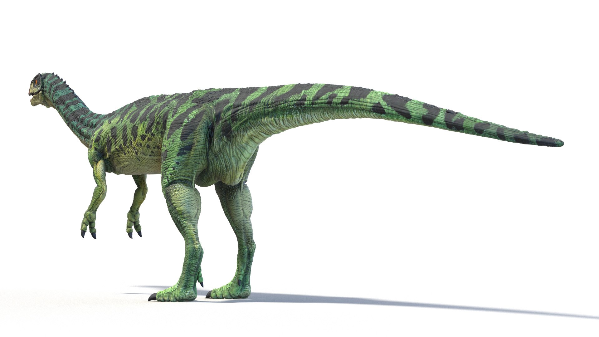 3D Chilesaurus Animated Model - TurboSquid 1956483