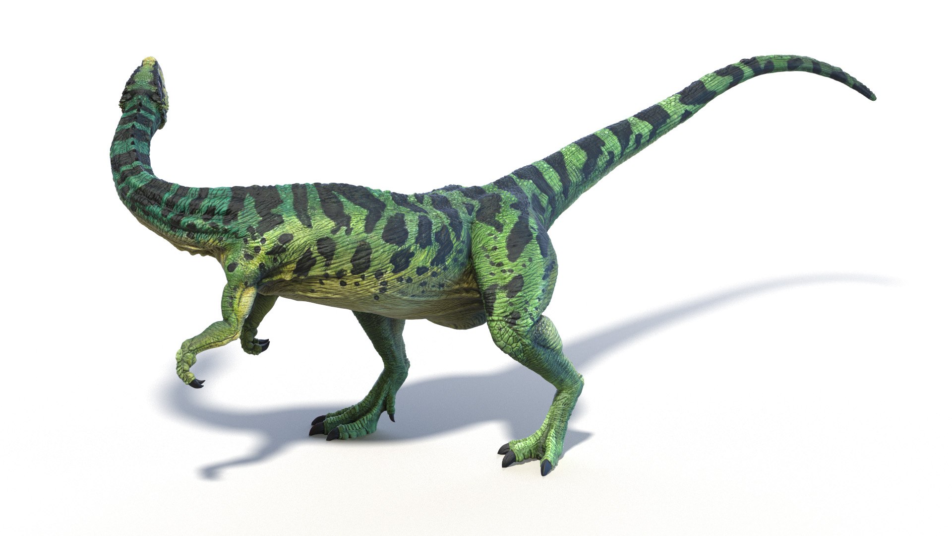 3D Chilesaurus Animated Model - TurboSquid 1956483