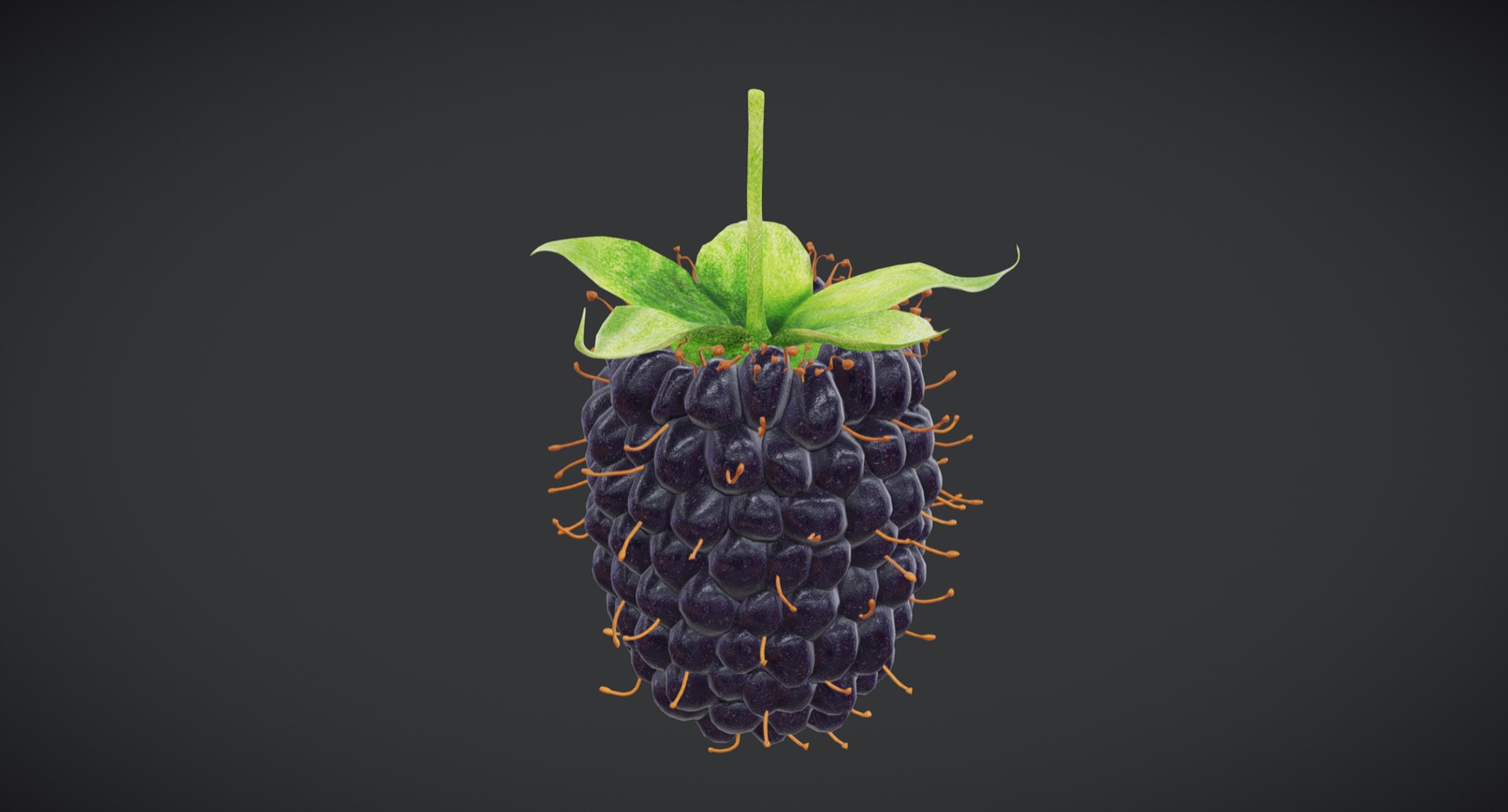 Fruit Marionberry Low Poly 3D Model - TurboSquid 2371543
