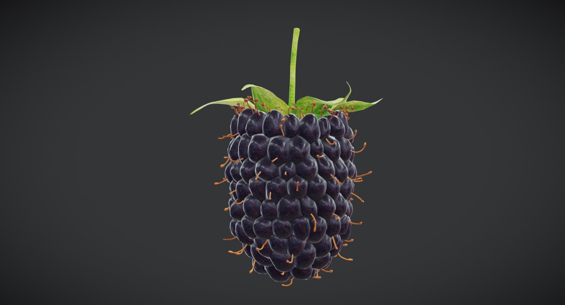Fruit Marionberry Low Poly 3D Model - TurboSquid 2371543