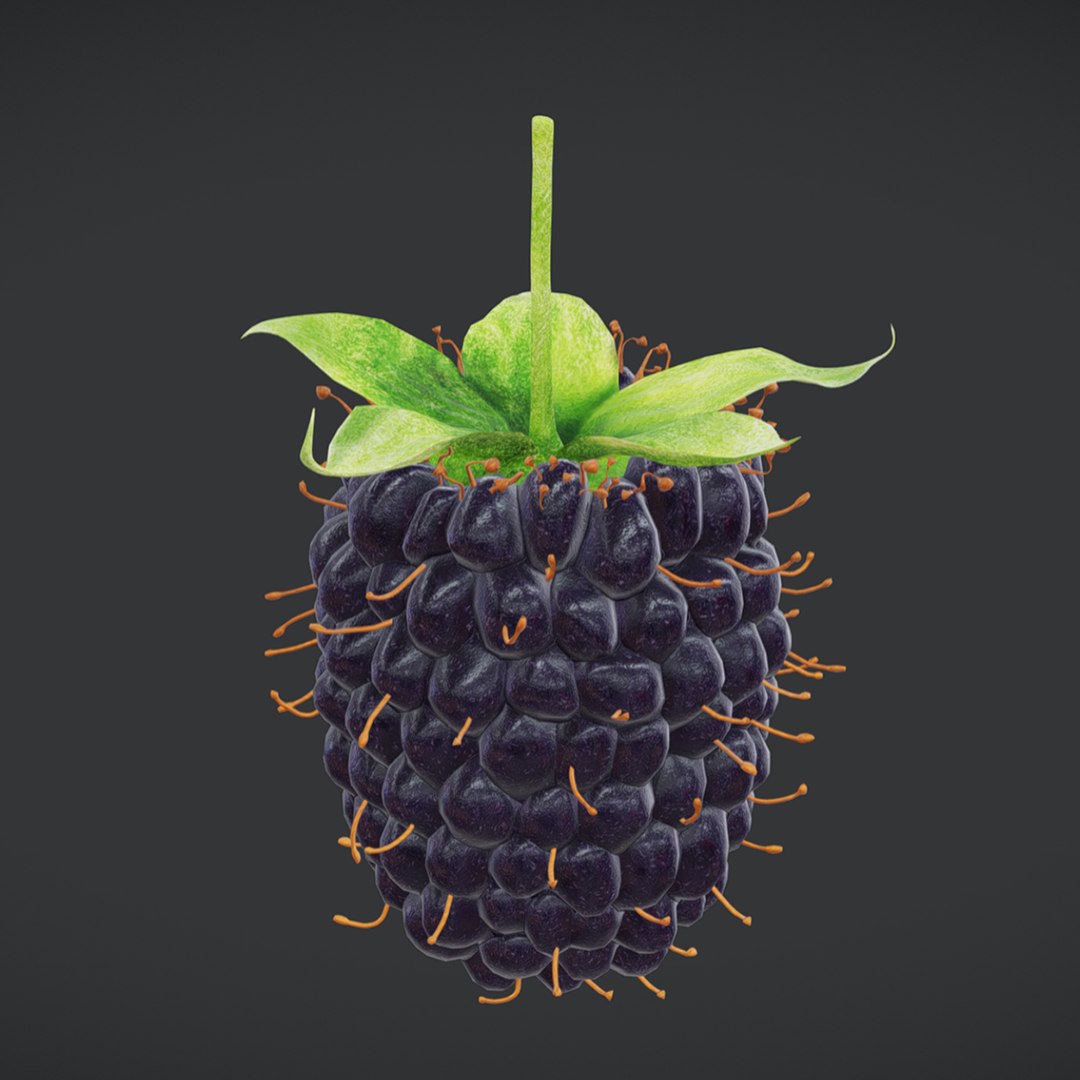 Fruit Marionberry Low Poly 3D Model - TurboSquid 2371543