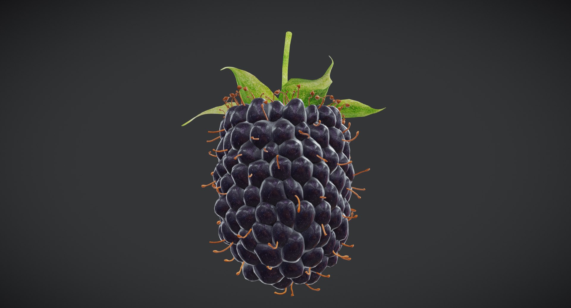 Fruit Marionberry Low Poly 3D Model - TurboSquid 2371543
