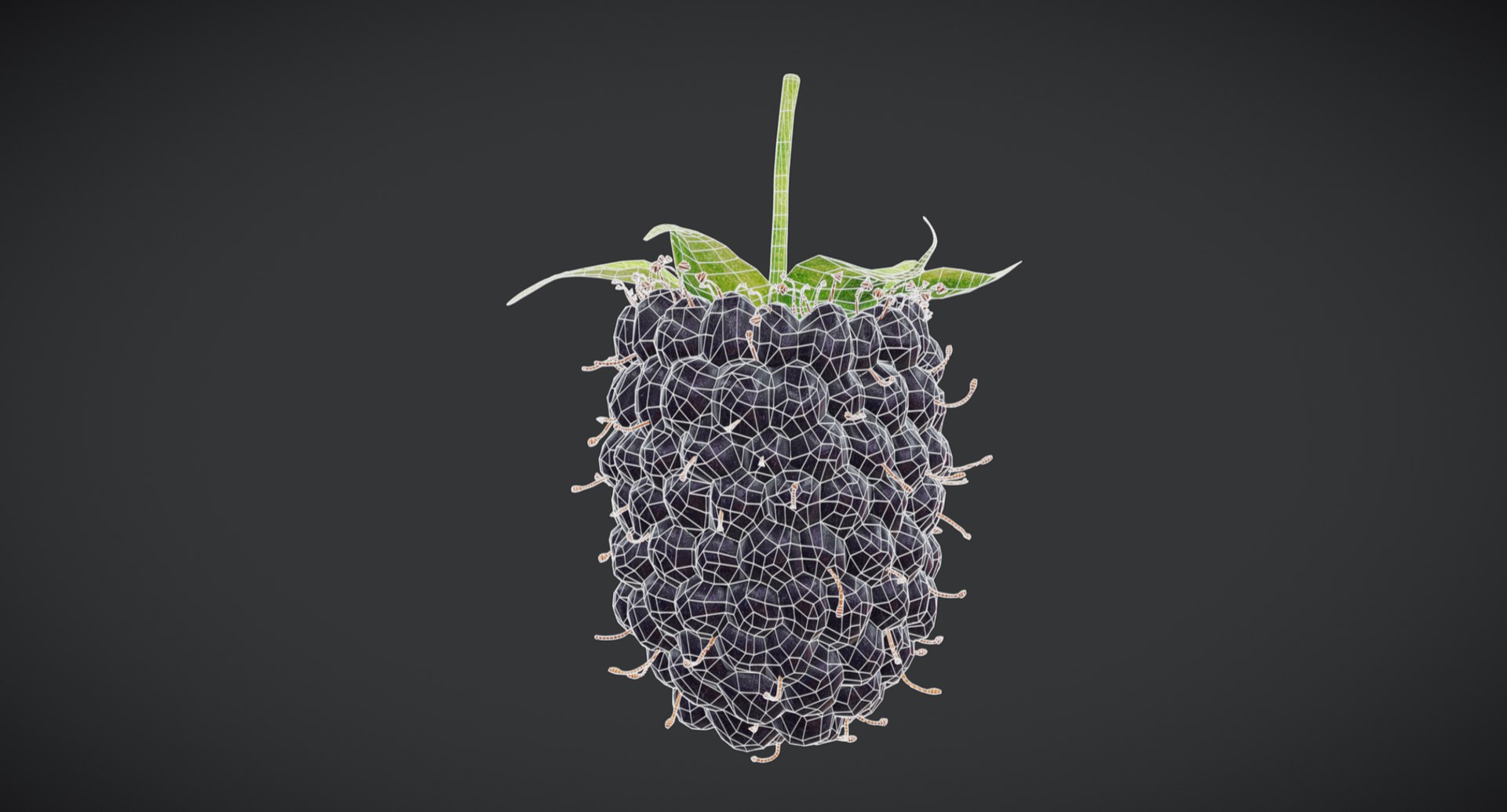Fruit Marionberry Low Poly 3D Model - TurboSquid 2371543