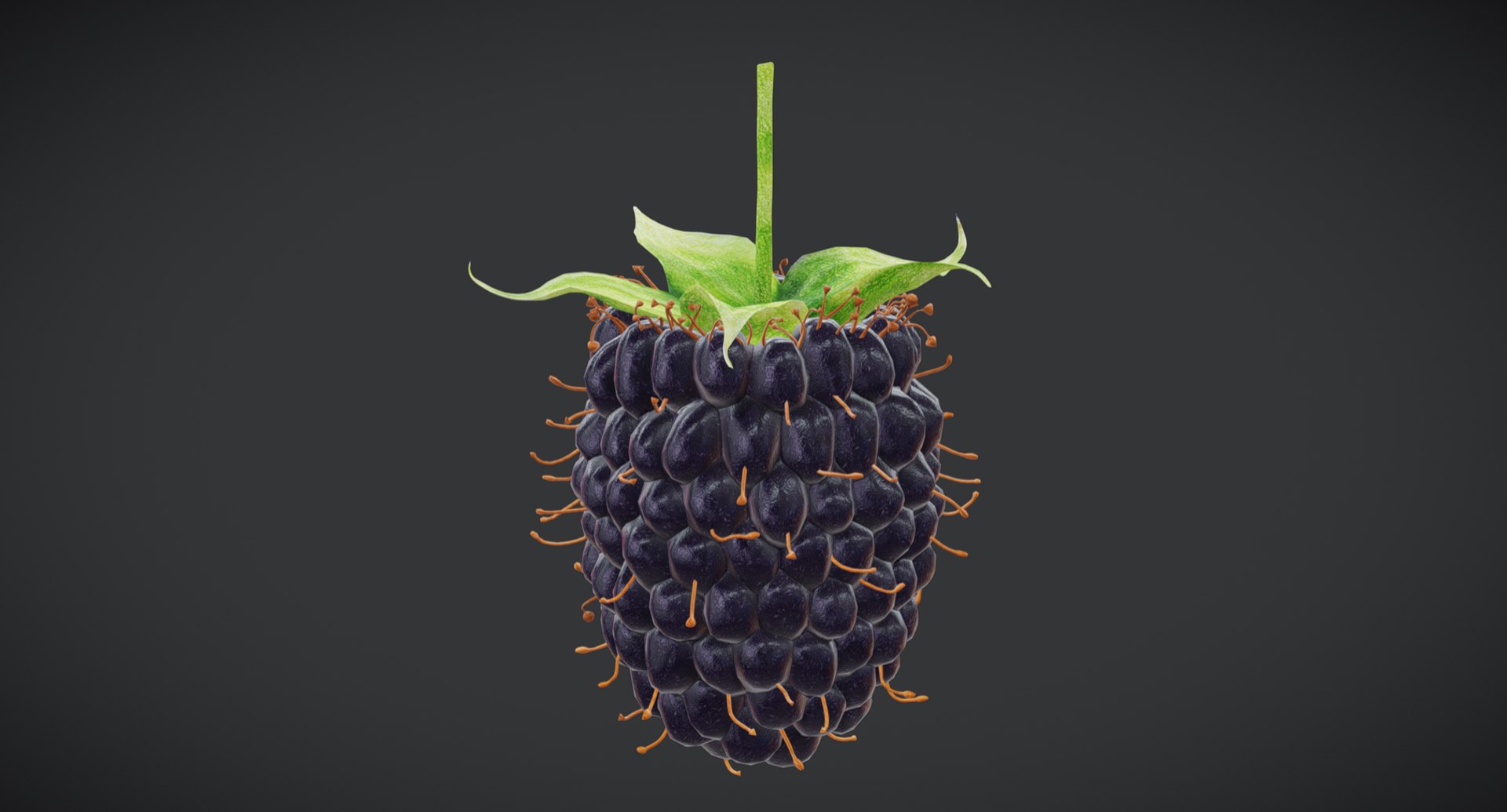 Fruit Marionberry Low Poly 3D Model - TurboSquid 2371543