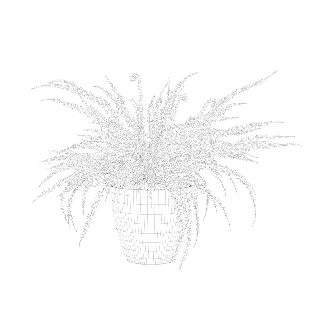 3D model Fern 08 - TurboSquid 1962064