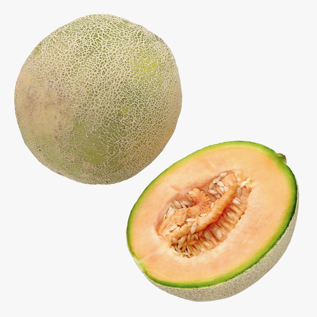 3D model Melons - TurboSquid 2094299