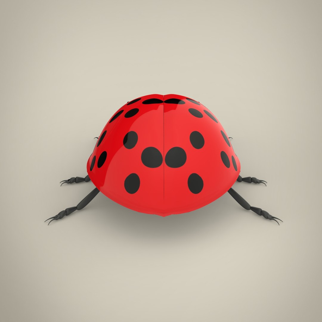 3D ladybird modeled - TurboSquid 1388396