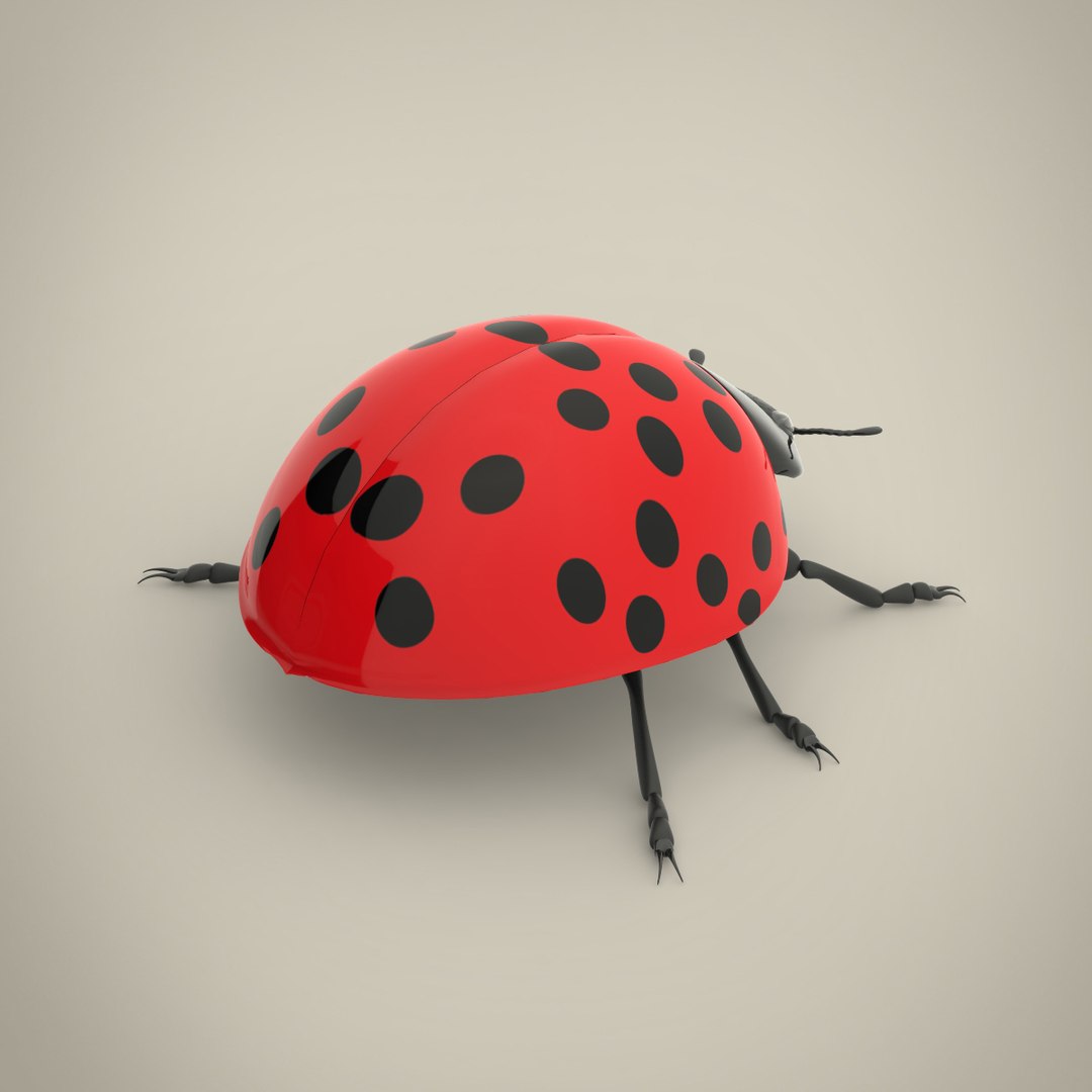 3D ladybird modeled - TurboSquid 1388396