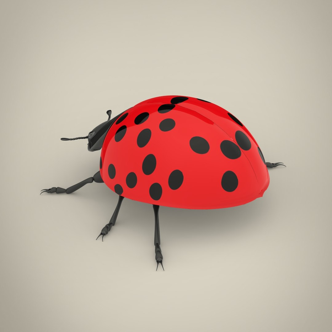 3D ladybird modeled - TurboSquid 1388396