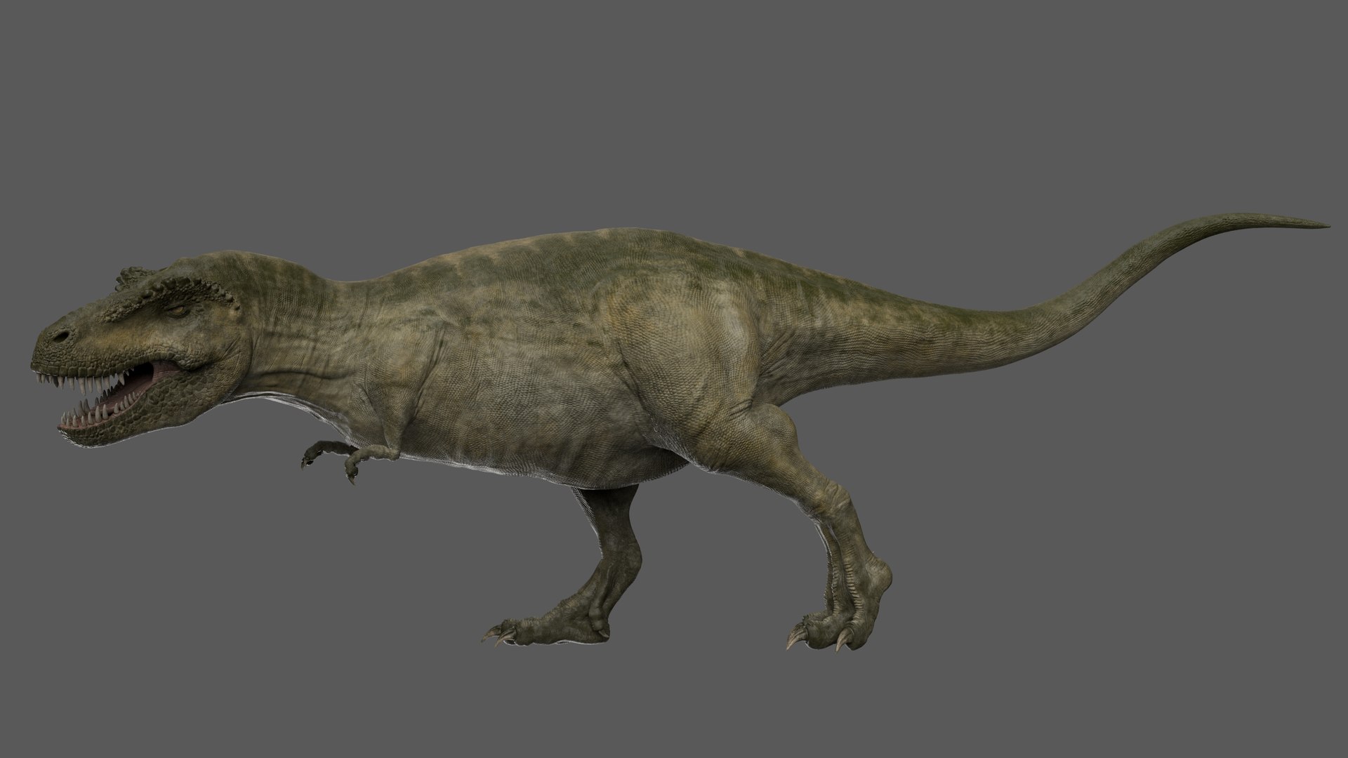 3D Tyrannosaurus Rex T-rex Green - TurboSquid 1539161