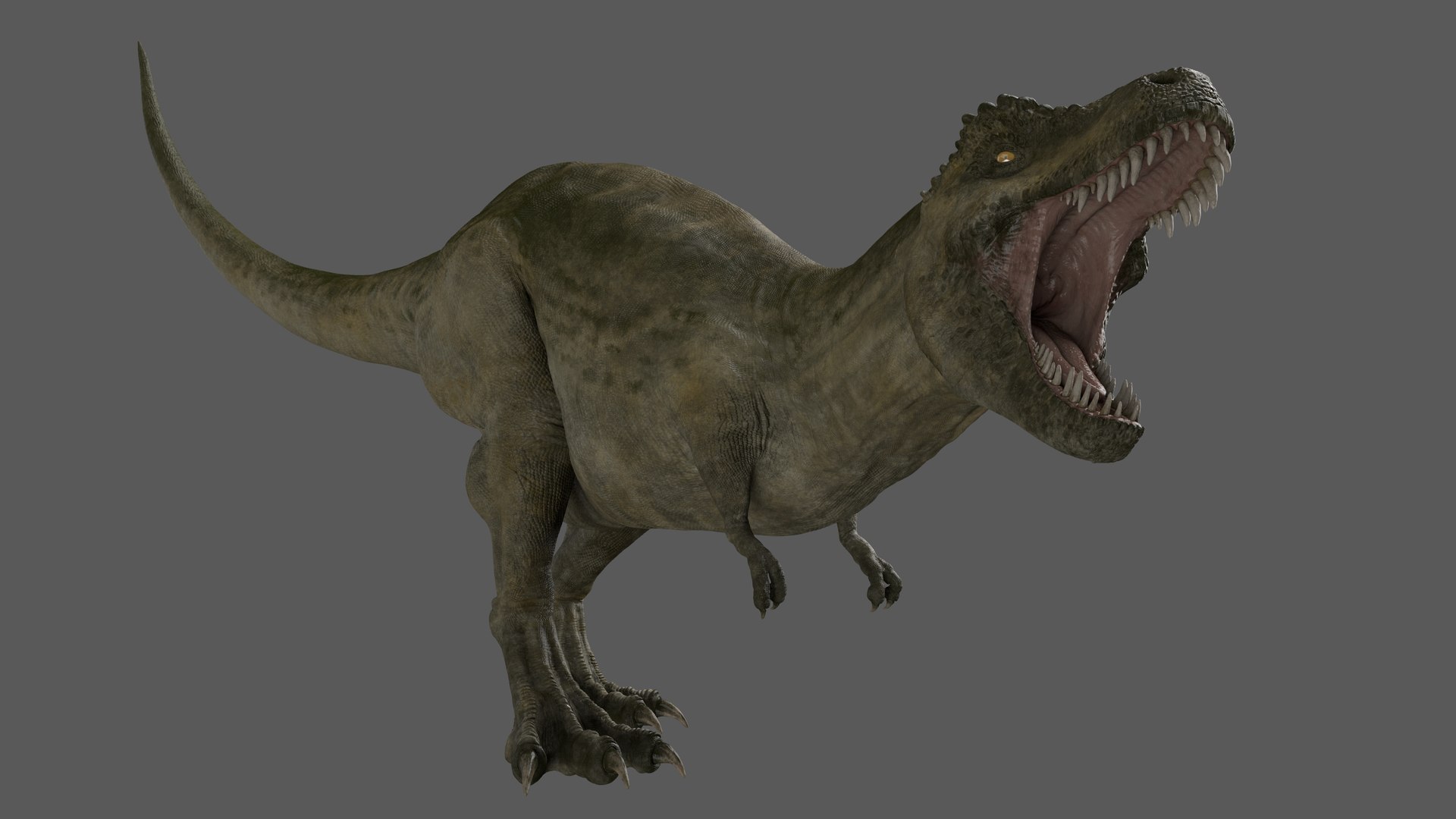 3D Tyrannosaurus Rex T-rex Green - TurboSquid 1539161