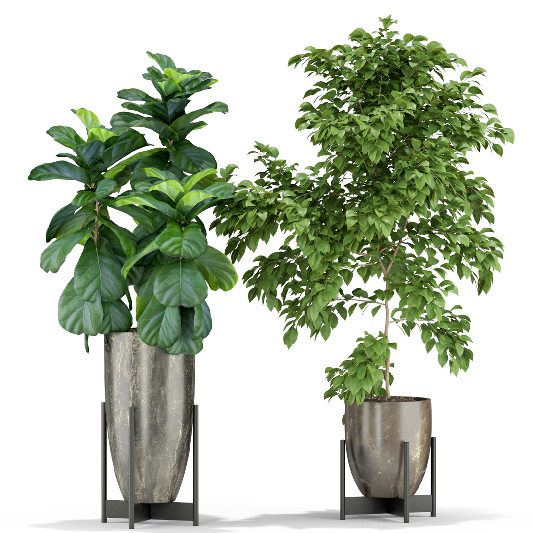 3D plants 360 - TurboSquid 1656484