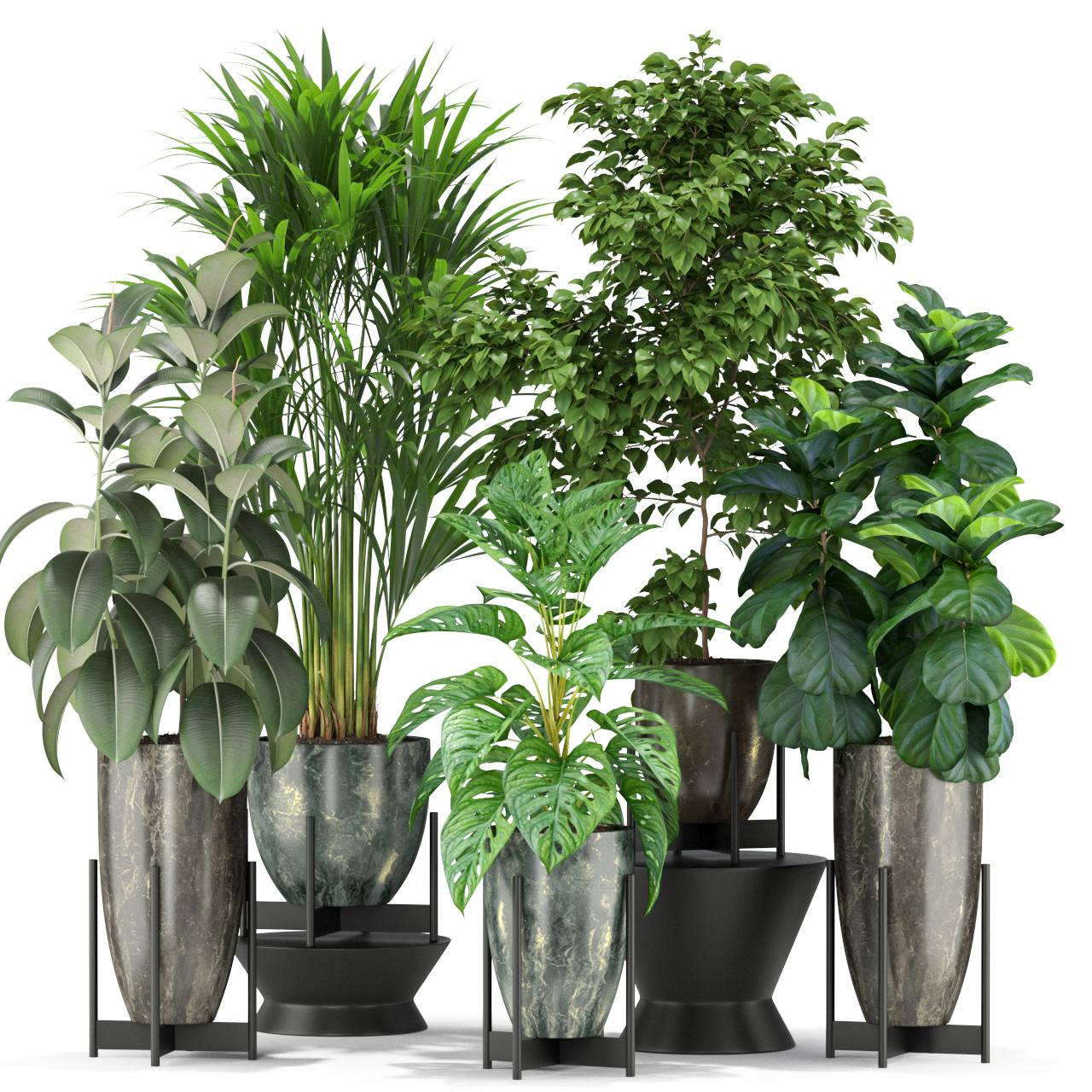 3D plants 360 - TurboSquid 1656484