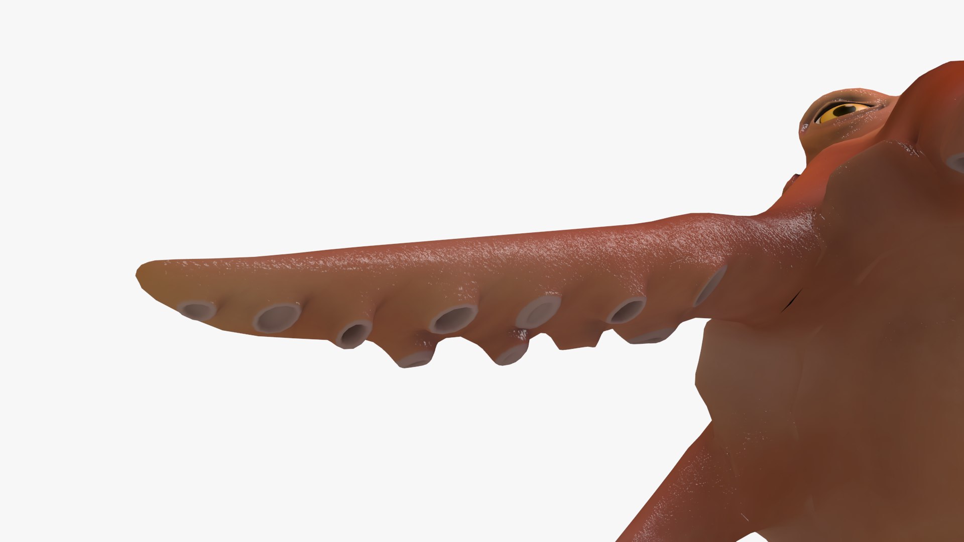 Sea Animal Octopus Cartoon 3D Model - TurboSquid 1523116