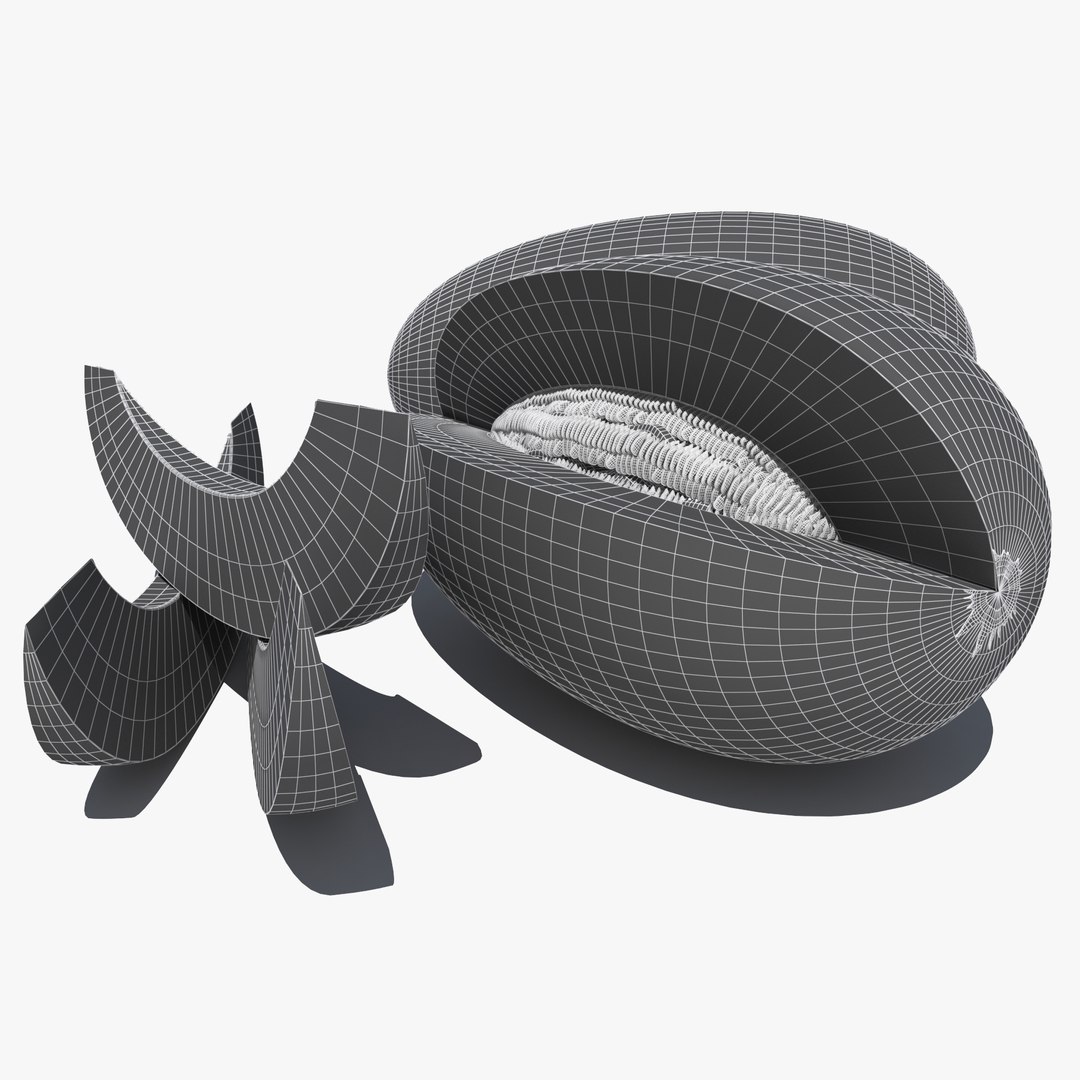 V-ray model - TurboSquid 1395665