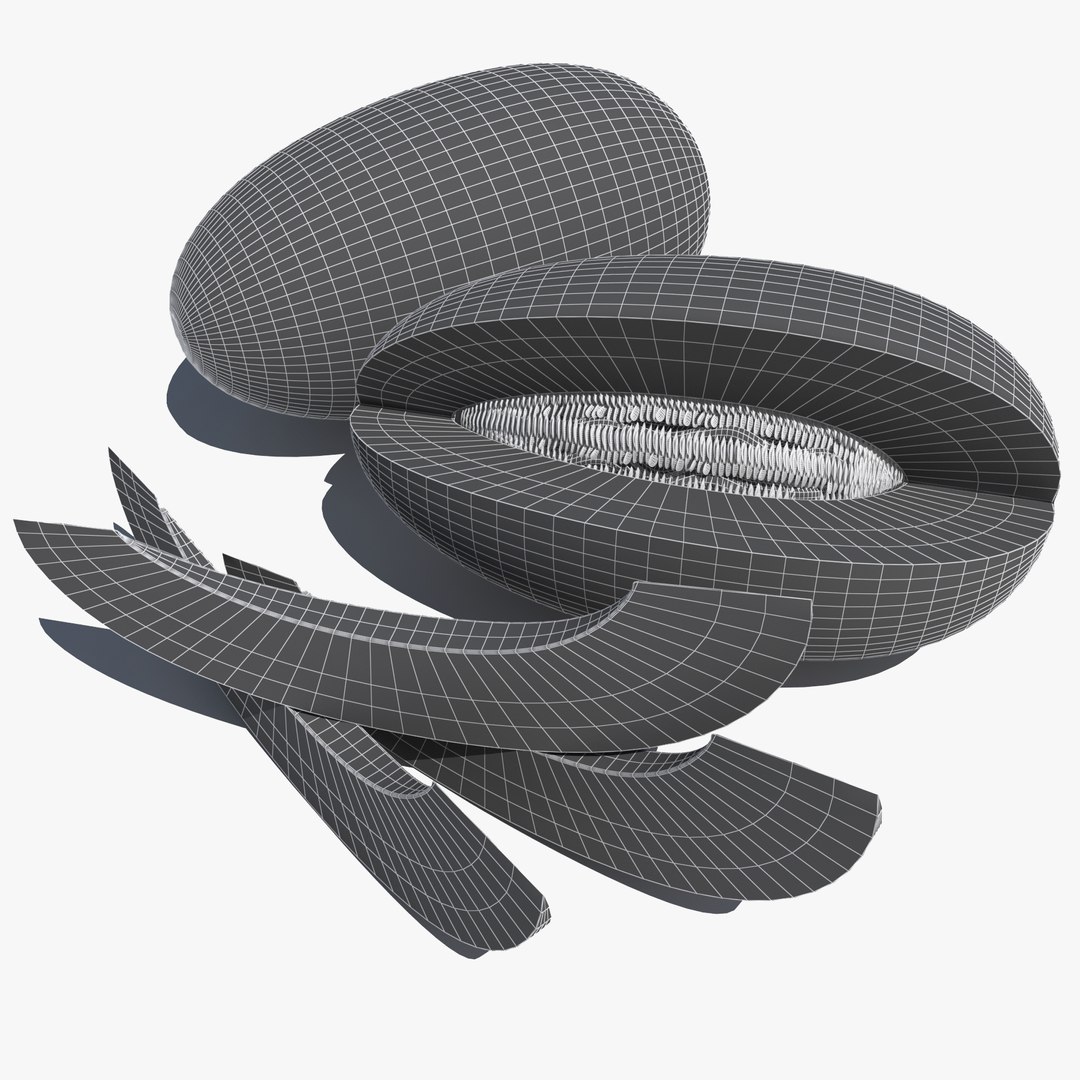 V-ray model - TurboSquid 1395665