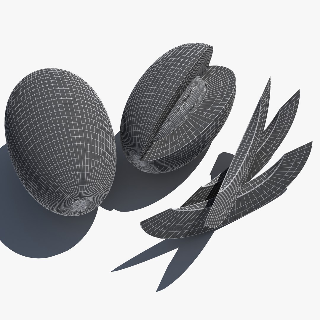 V-ray model - TurboSquid 1395665