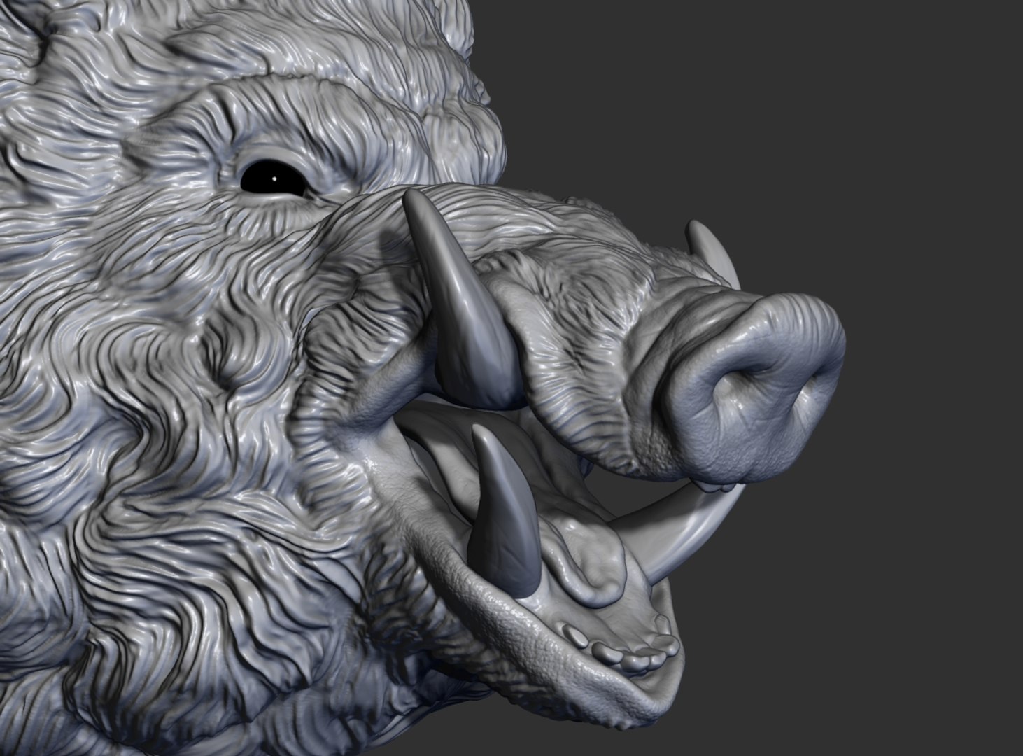 3D Model Wild Boar - TurboSquid 1760383